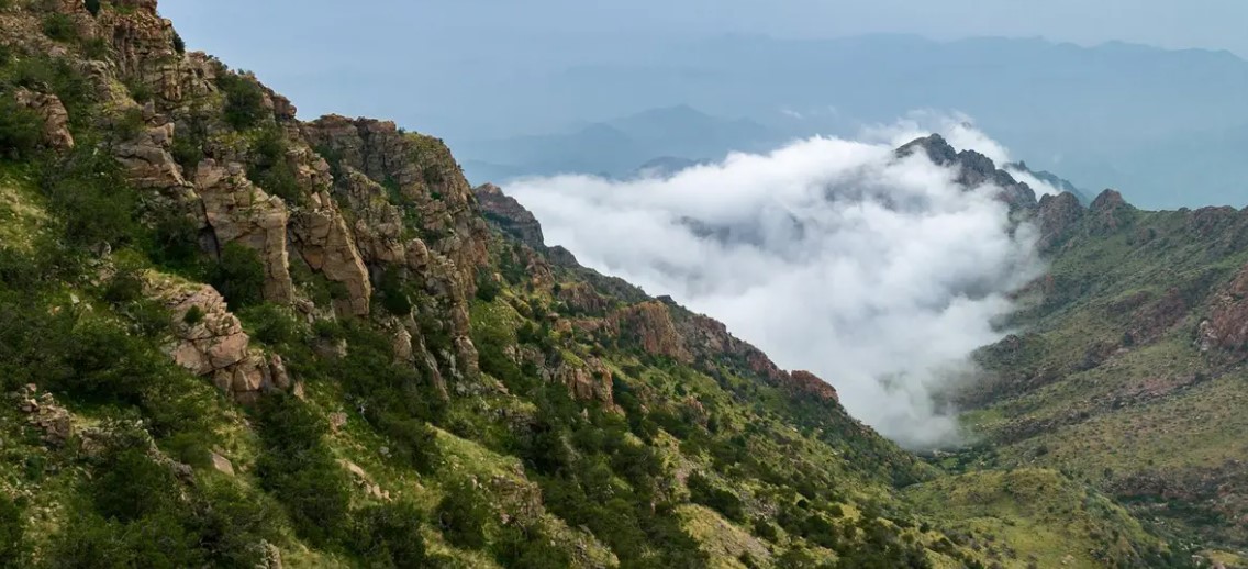 Ash Shafa Village: A Hidden Gem in Taif - lucire