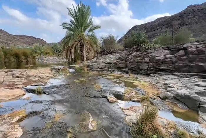 Wadi Khadra...Green Oasis Decorated with Palm Trees - lucire